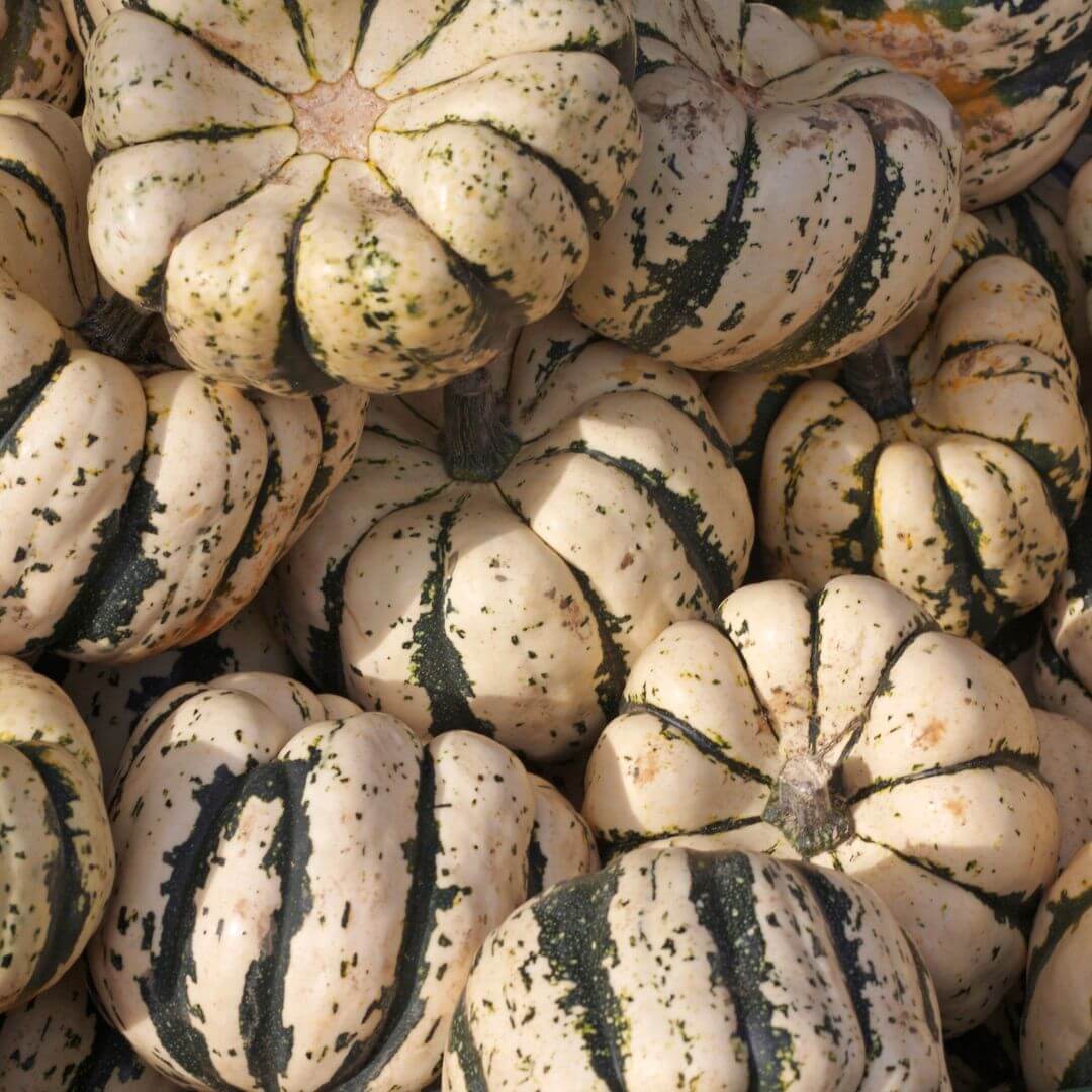 Types Of Squash ( Summer & Winter Squash ) : How To Cook